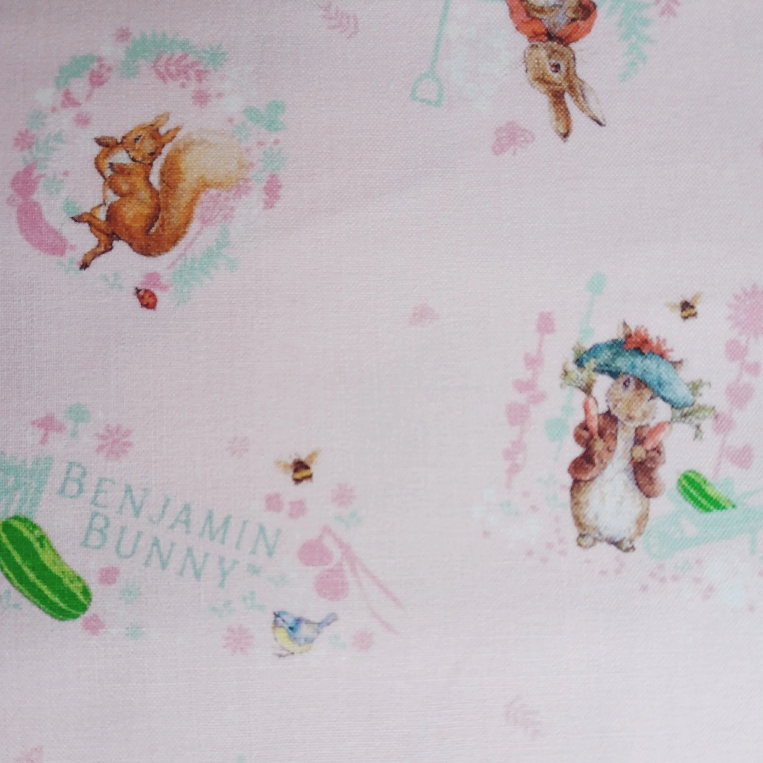 Peter Rabbit Cotton Fabric Garden Path Crafty Baba Fabrics