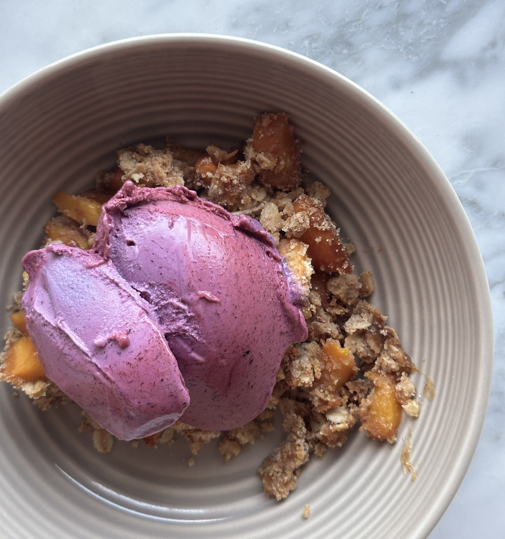 recipe :: new zealand style fresh blueberry ice cream — LIONESS ACADEMY