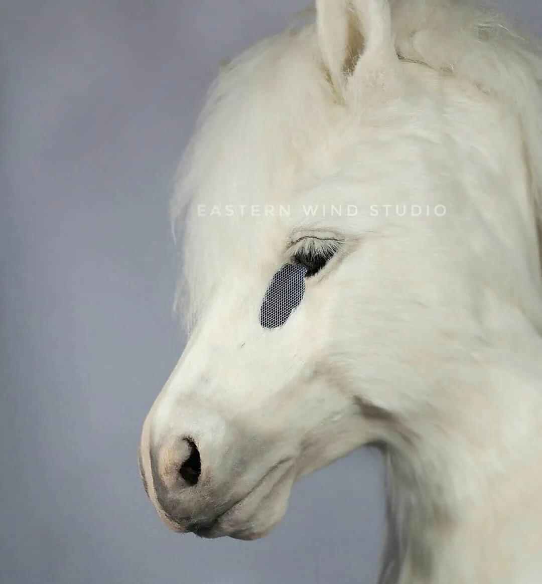 Gallery — Eastern Wind Studio