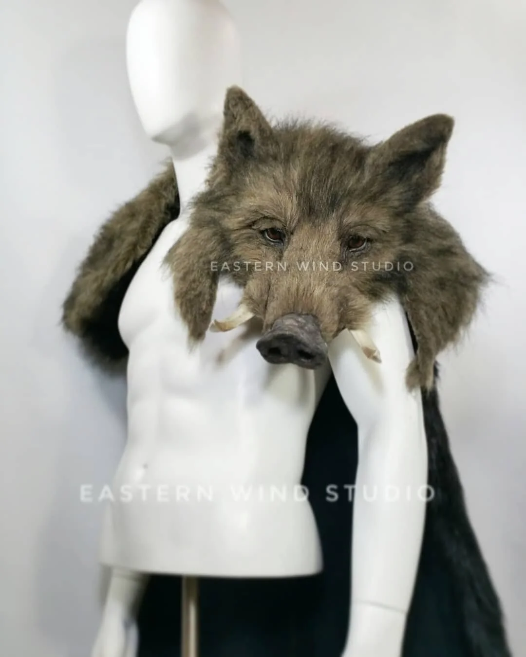 Gallery — Eastern Wind Studio