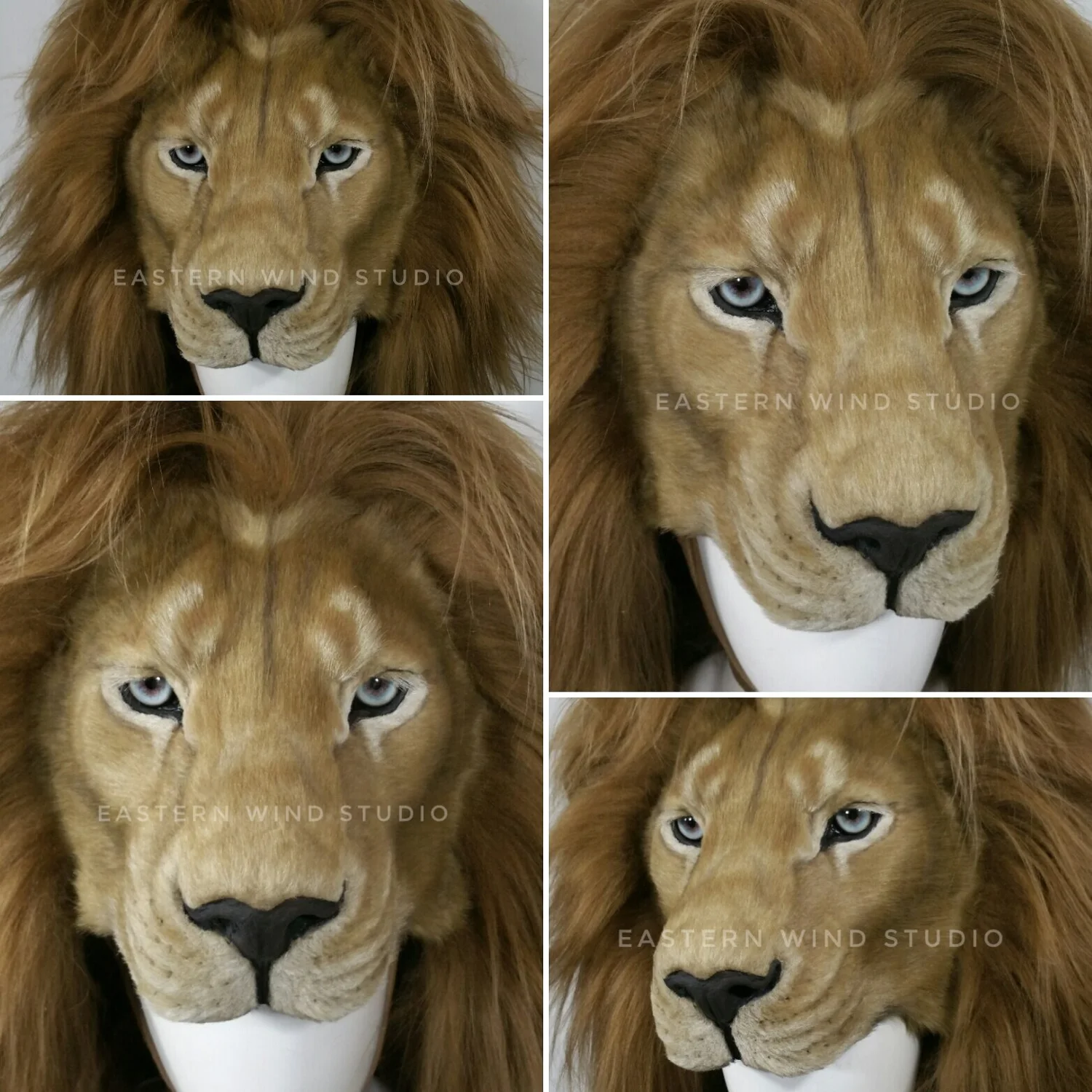 Real Lion Head