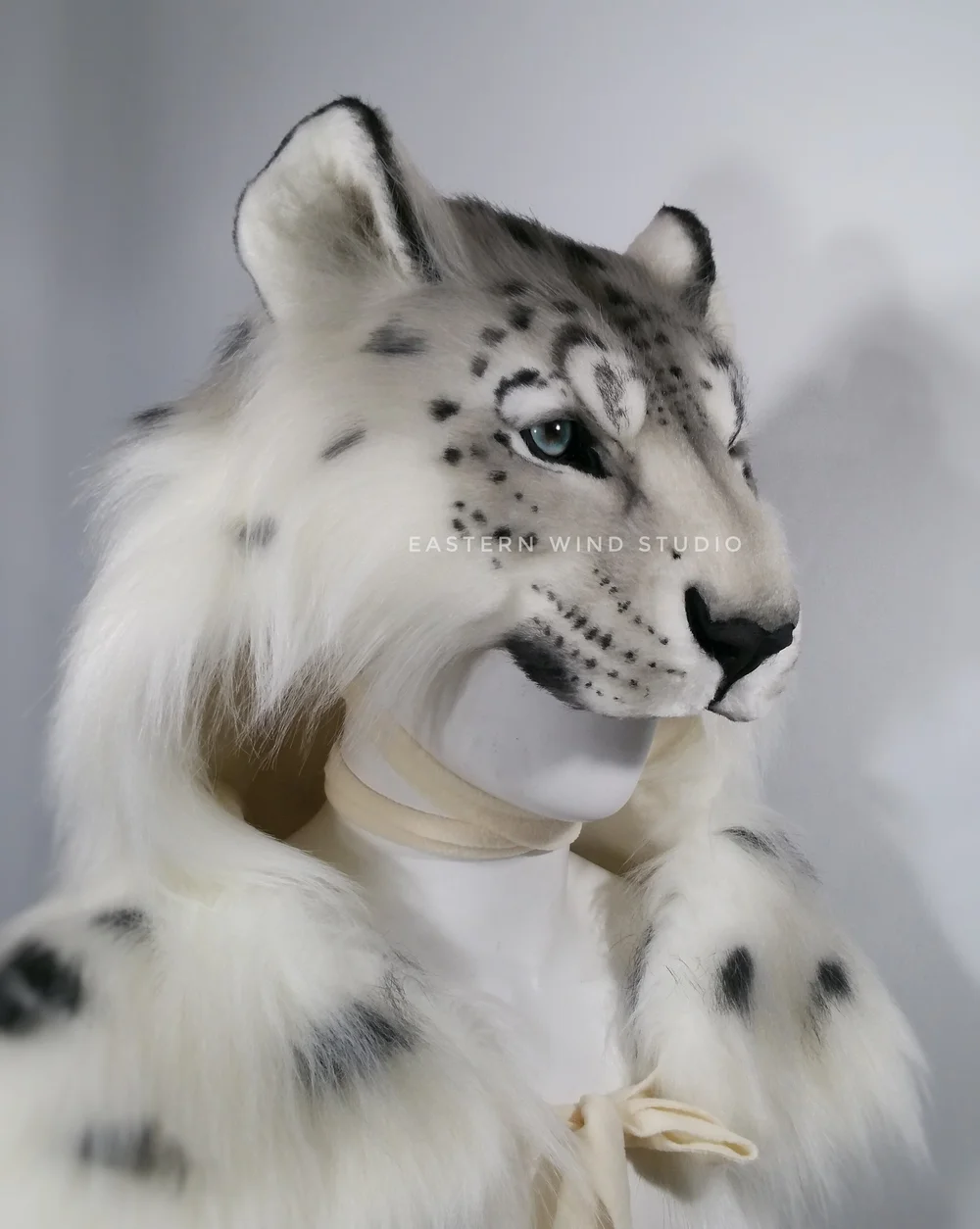 Cats — Eastern Wind Studio