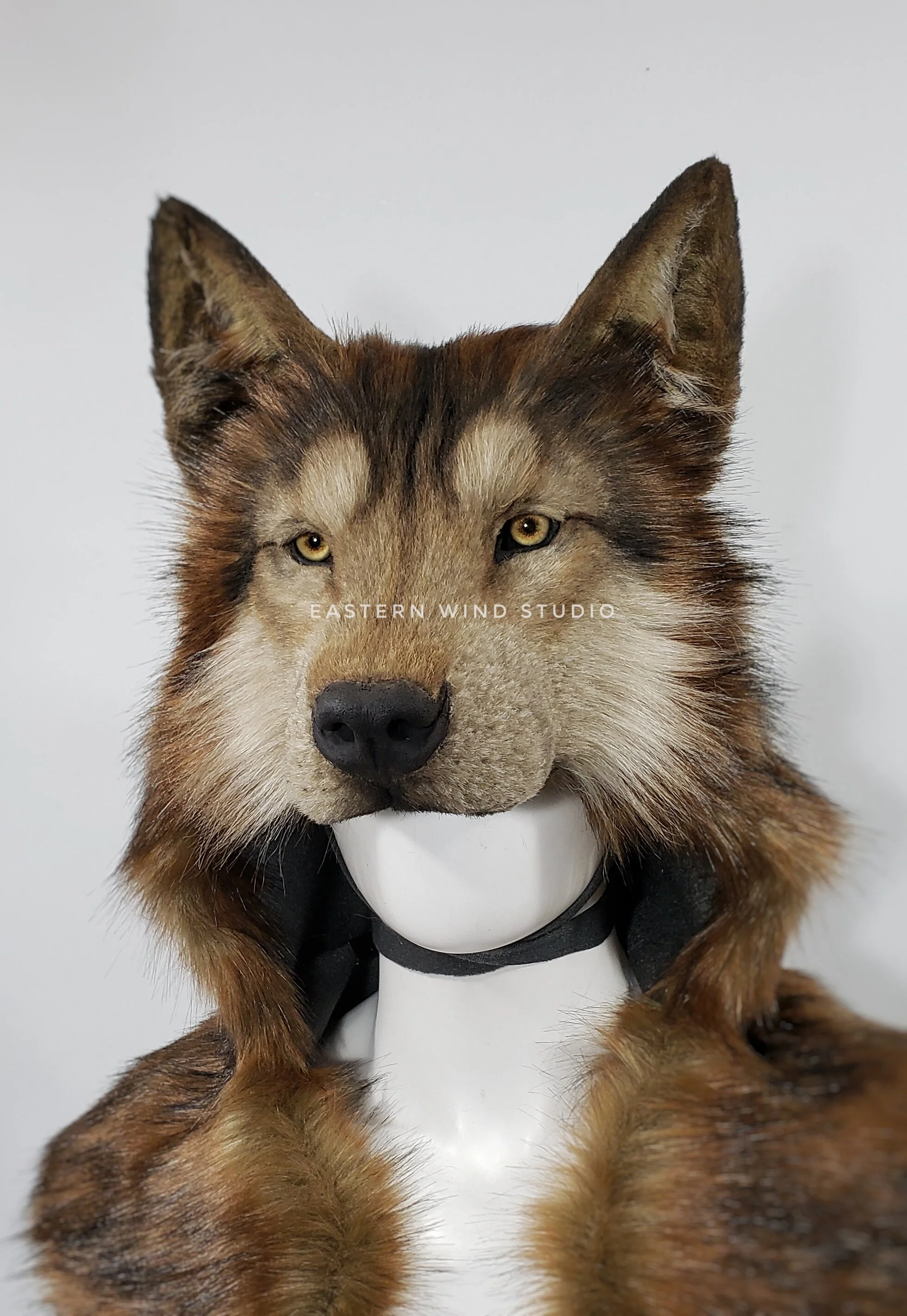 Wolves — Eastern Wind Studio