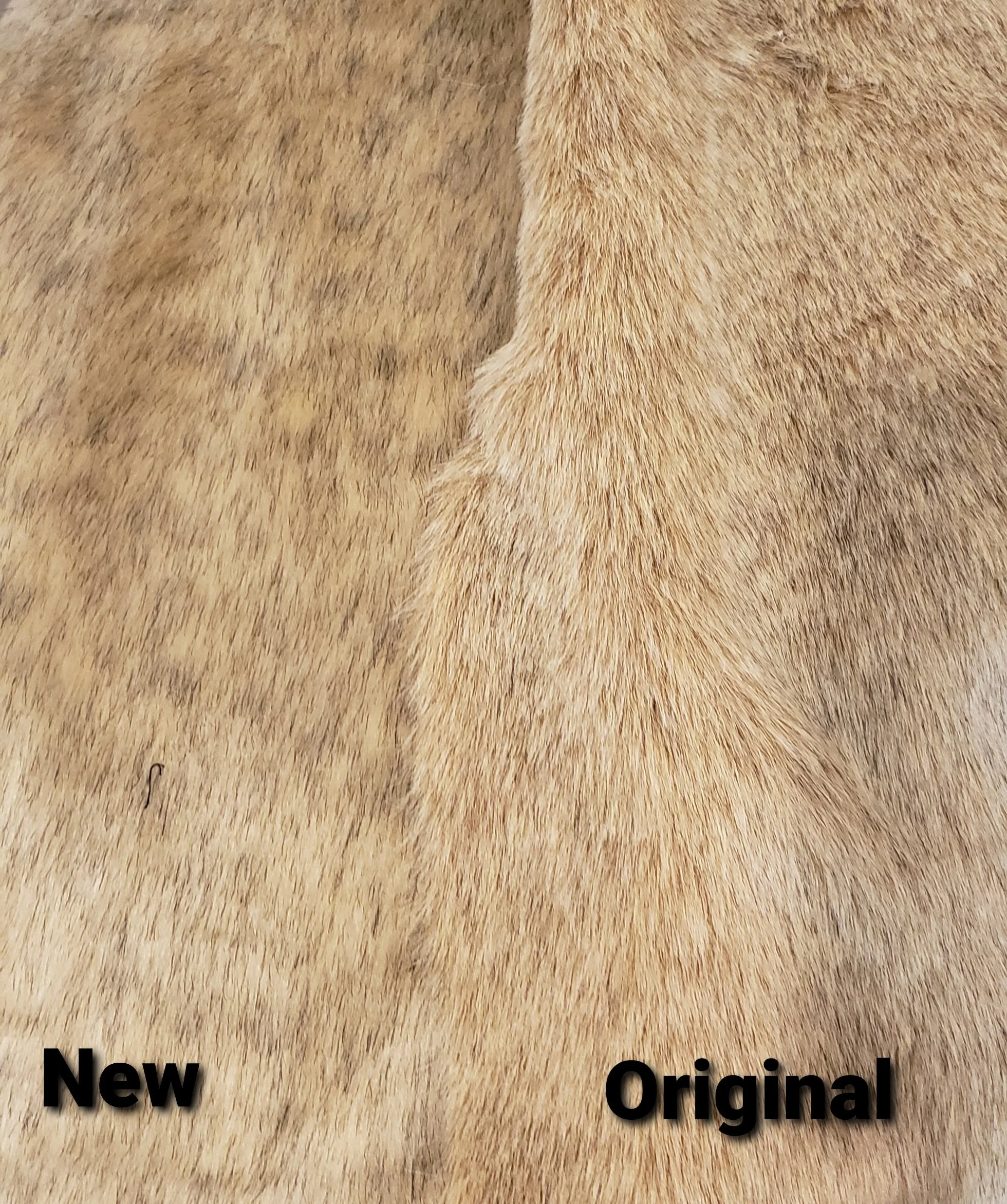 Lion Skin Regal Wrap — Eastern Wind Studio