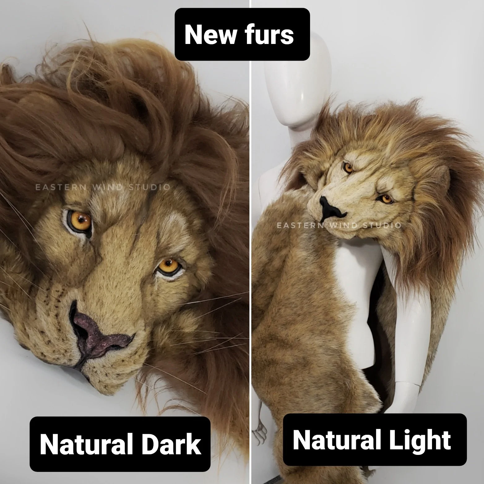 Lion Skin Regal Wrap — Eastern Wind Studio