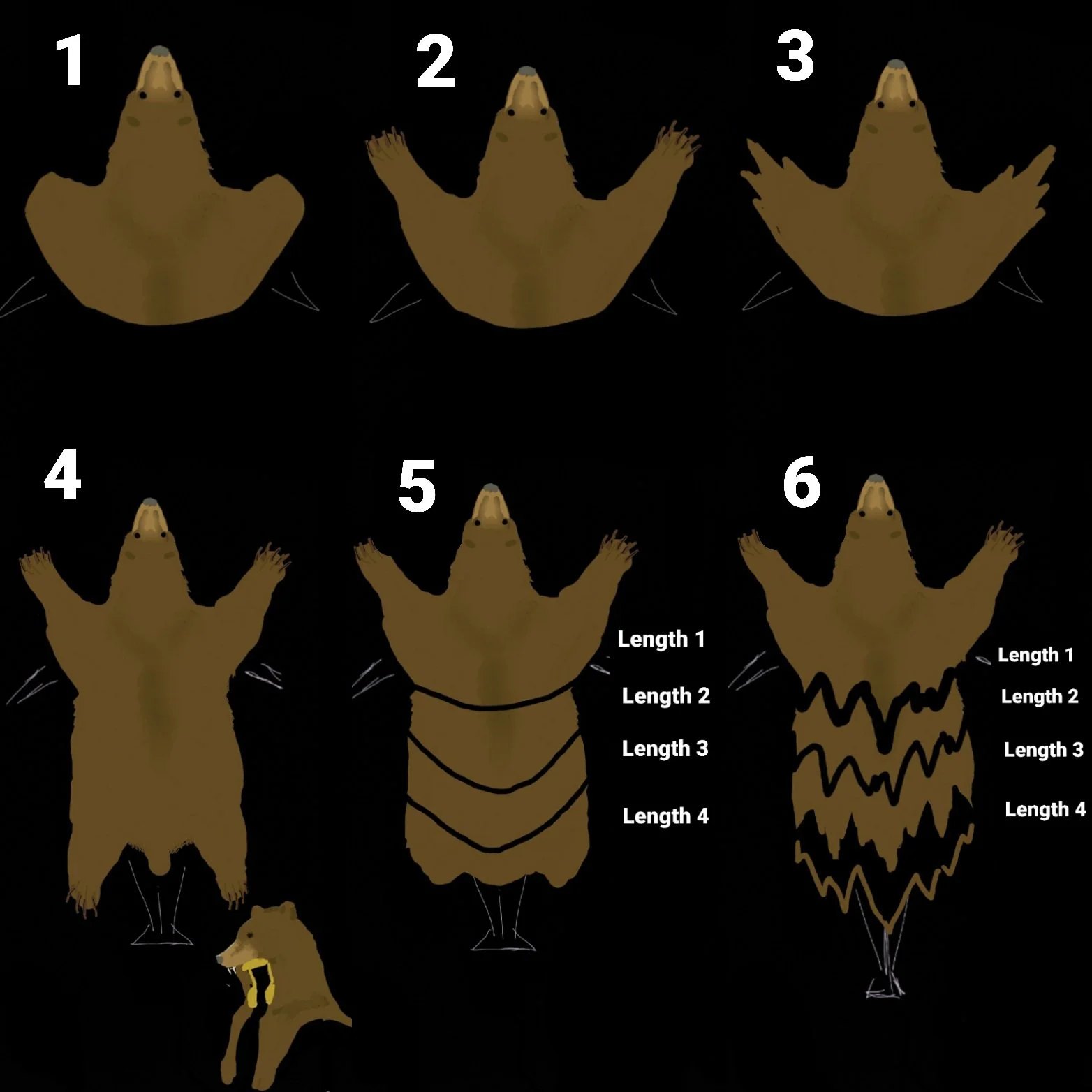 Bears | Discover Your Perfect Bear — Shop Now — Eastern Wind Studio