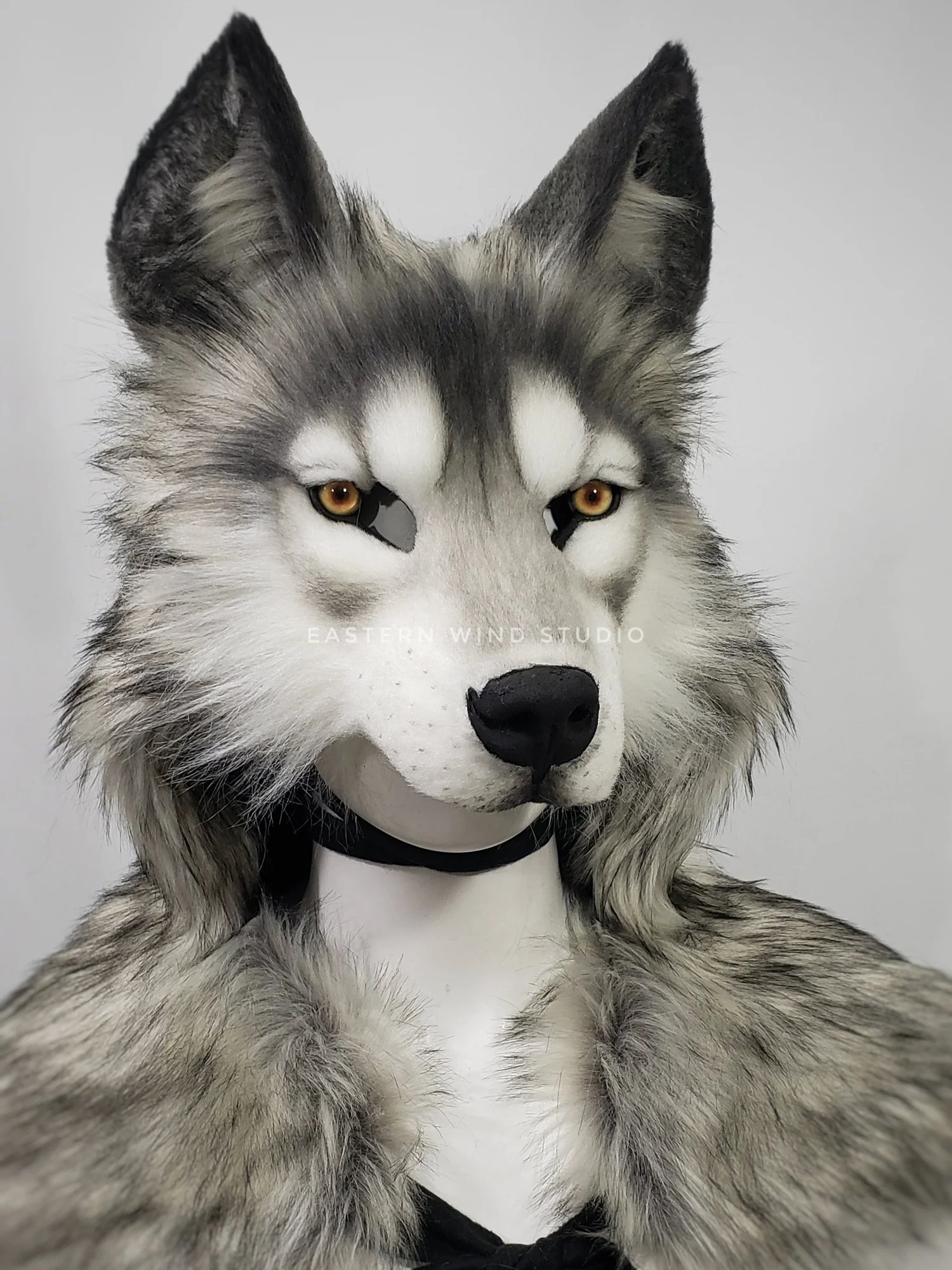 Wolves — Eastern Wind Studio