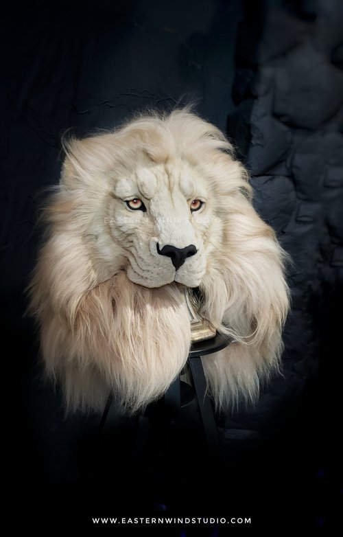 Store 1 — Eastern Wind Studio