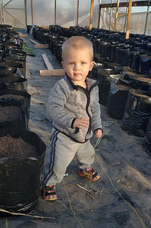 Our Roots — Rupe Family Farms