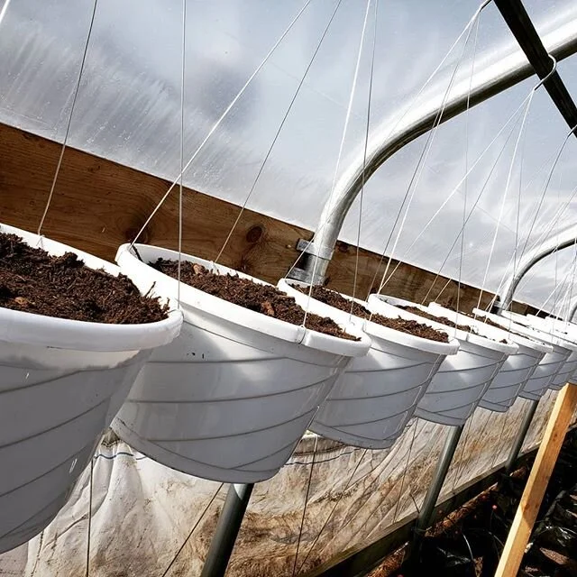 Gallery — Rupe Family Farms