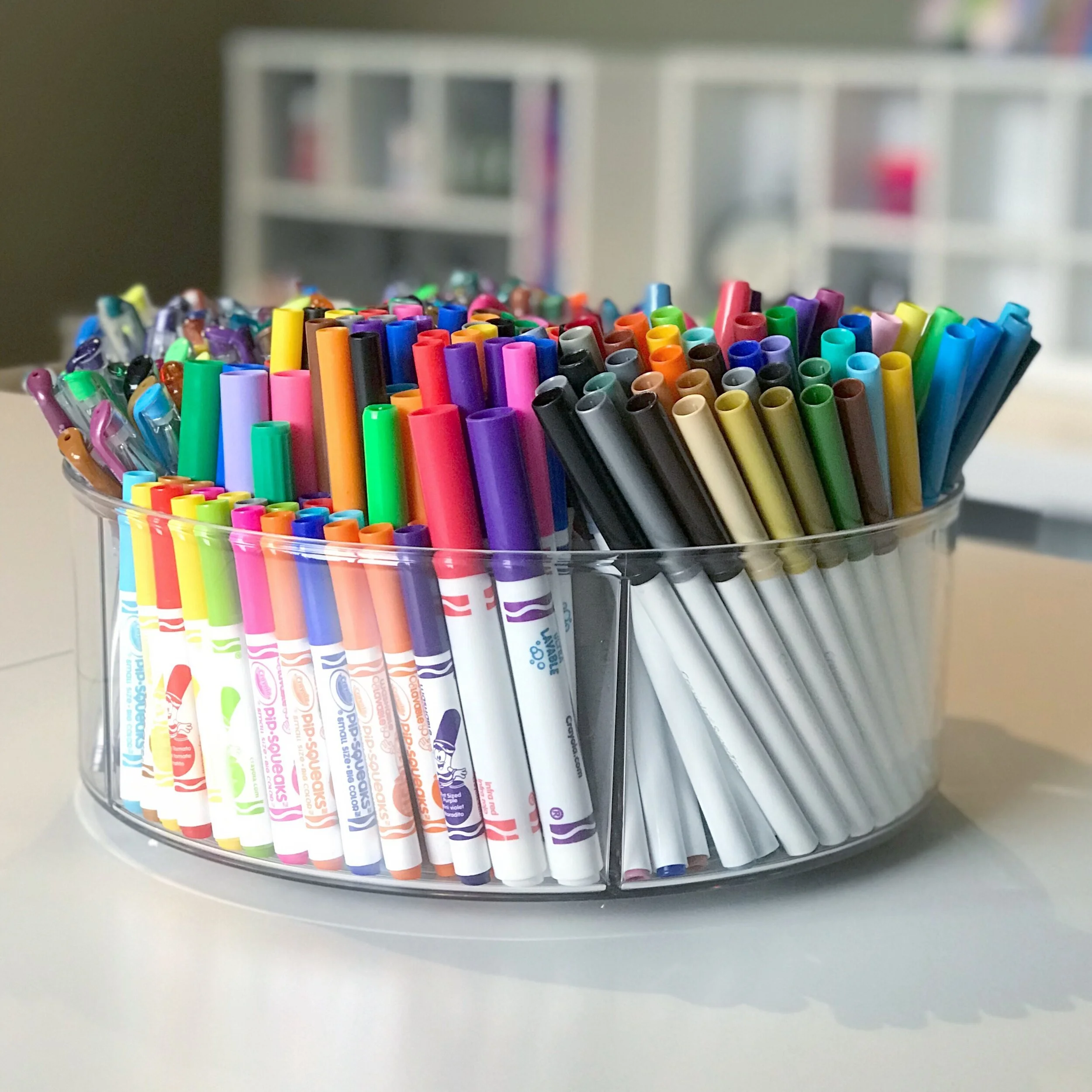 Your Guide to School Supply Organization — The Orderly Space