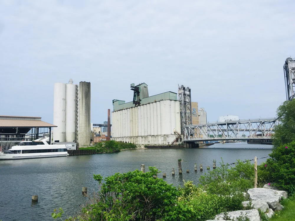 Buffalo — Hope Rising Together