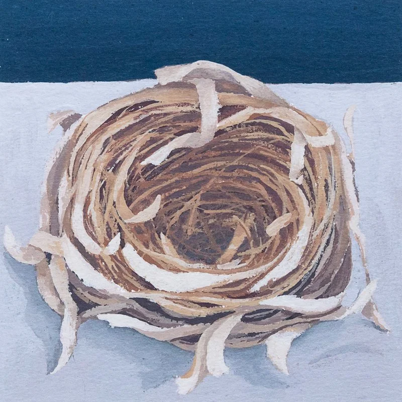 Gouache Paintings — Sara Grover McDougall, Fine Artist