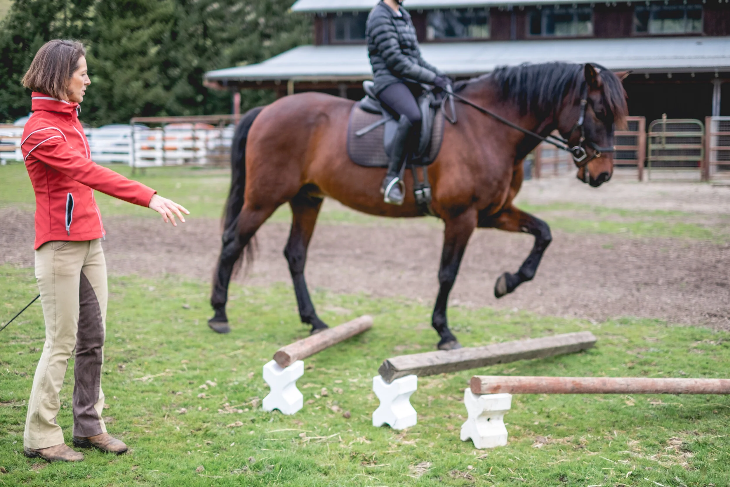 Distance Between Trot Poles