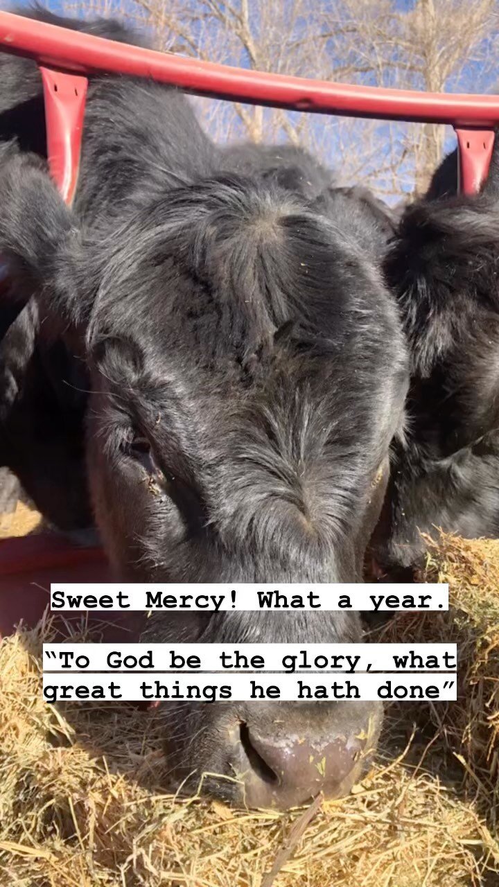 Ethos — Sweet Mercy Farms