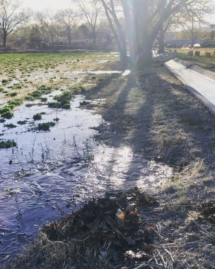 Ethos — Sweet Mercy Farms