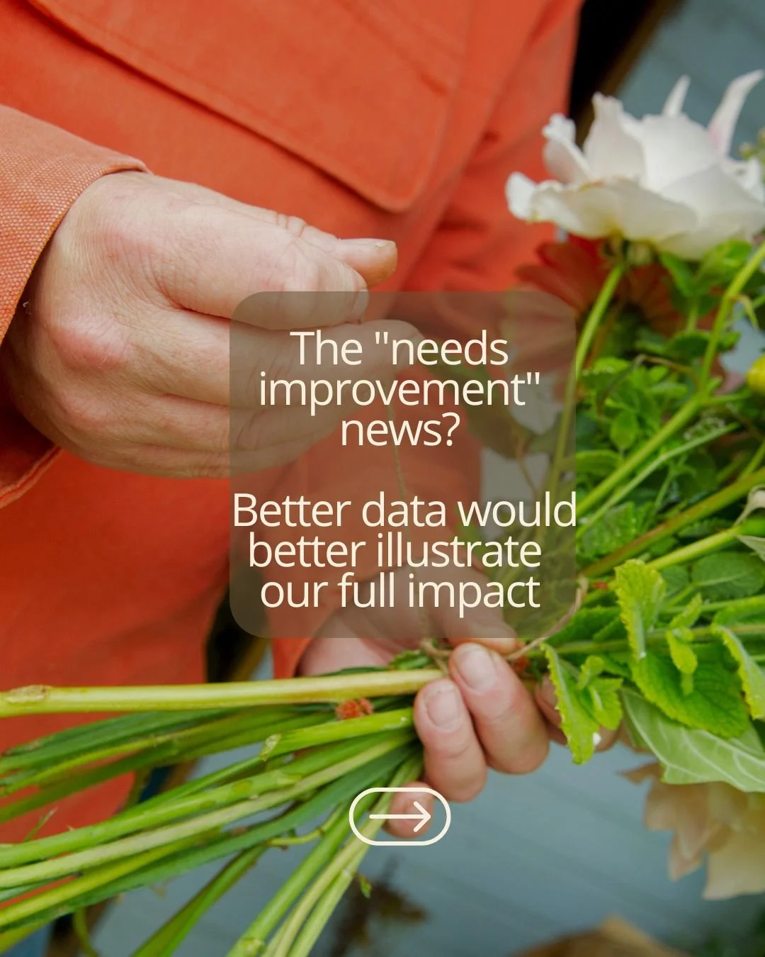 Our first Impact Report — Cumberland Flower Farm