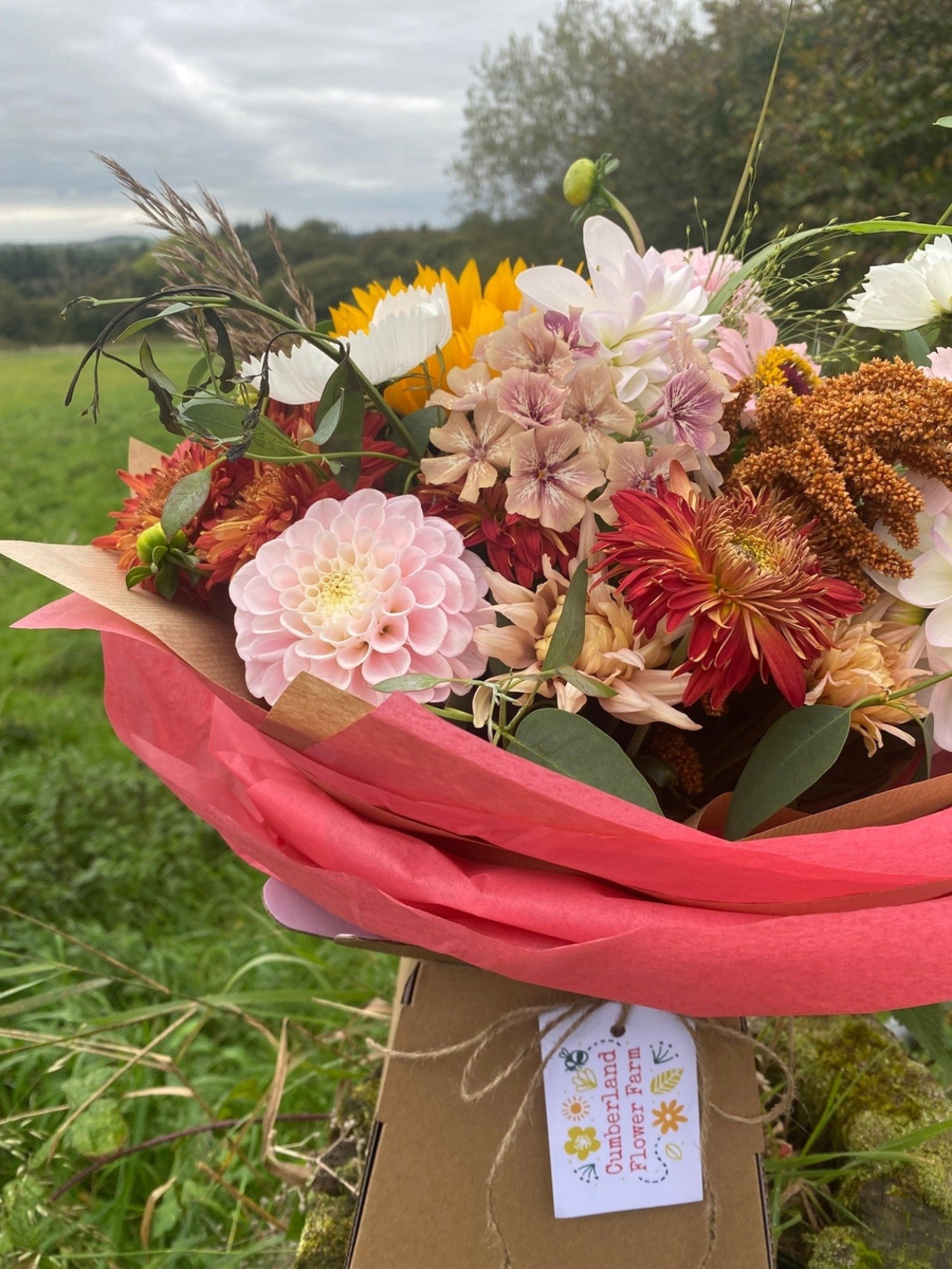 October Gift Bouquets — Cumberland Flower Farm