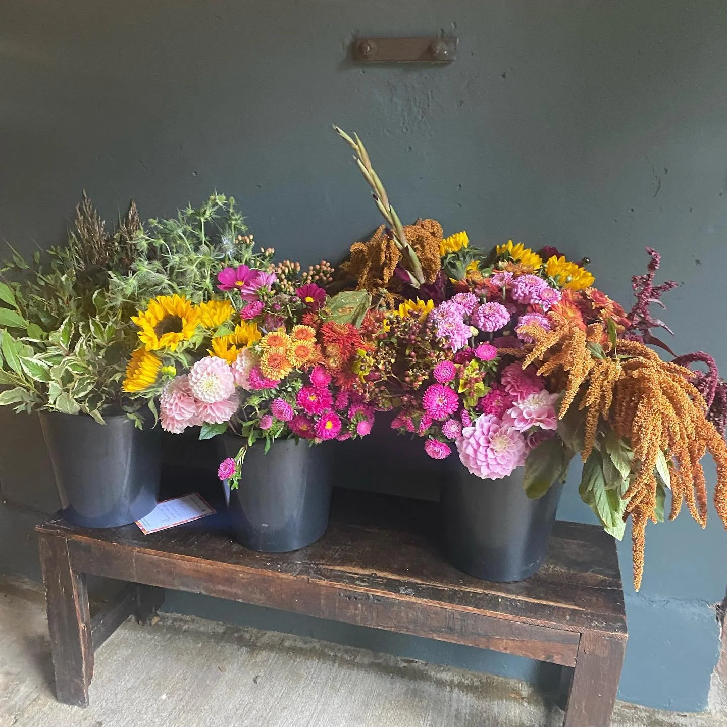 Wedding DIY Flower Buckets — Cumberland Flower Farm