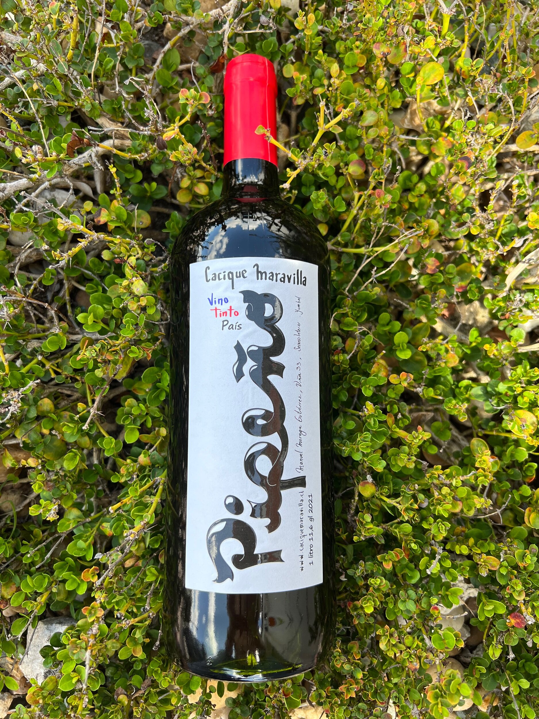 Primitive Selections - Natural Wines