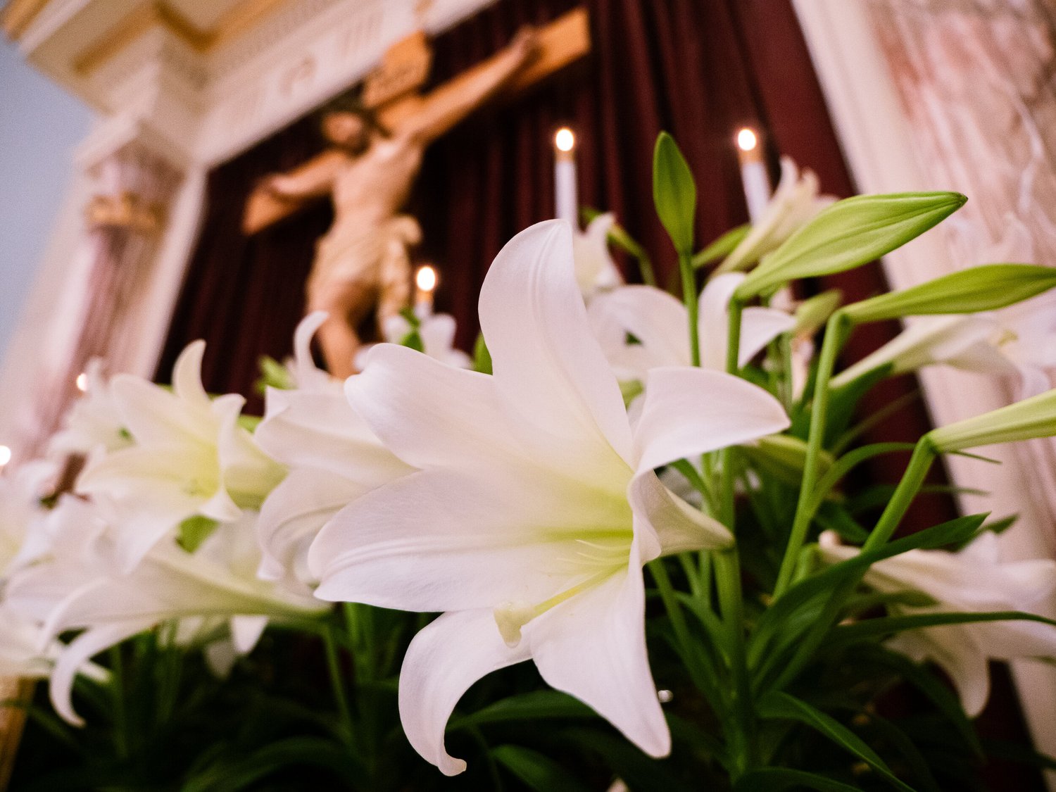 Holy Week — St. Mary's Catholic Center