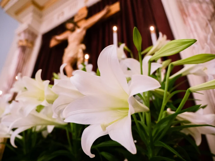 Holy Week — St. Mary's Catholic Center