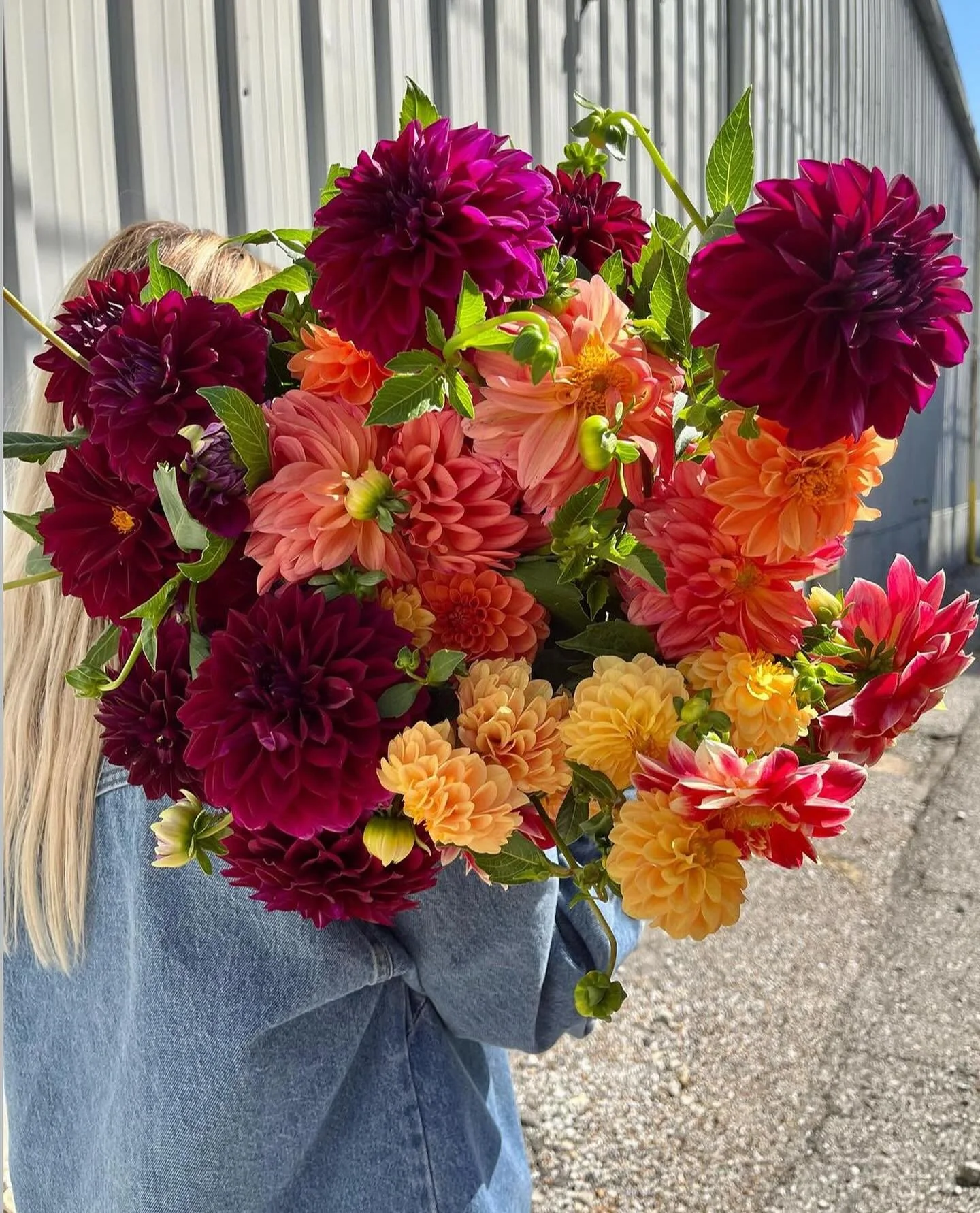 Find Rudy — Rudy's Flower Truck