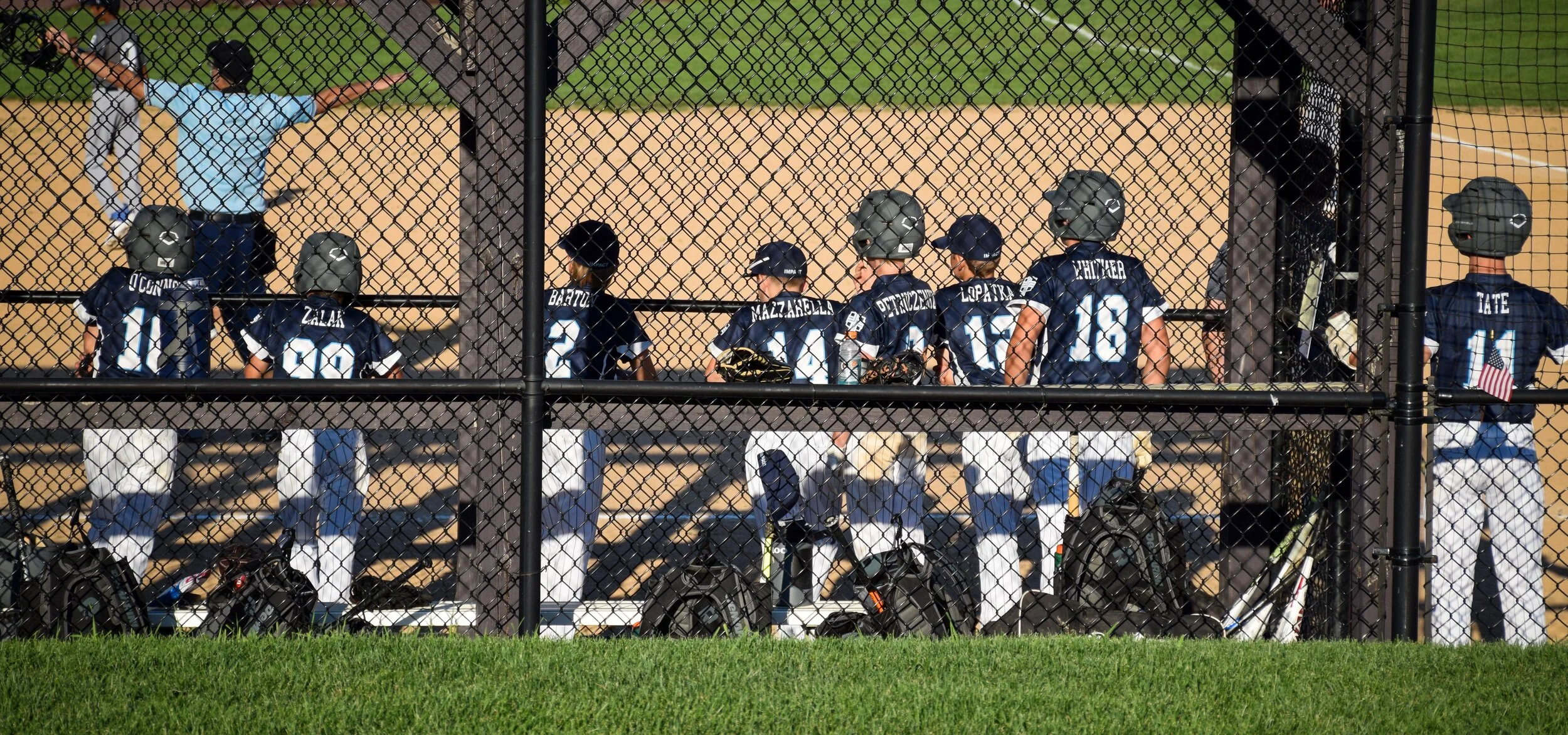 PROGRAM — IMPACT BASEBALL