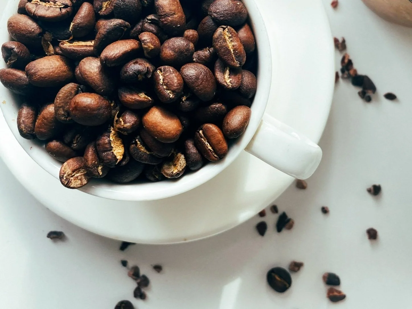 The Slow Down Coffee Co.