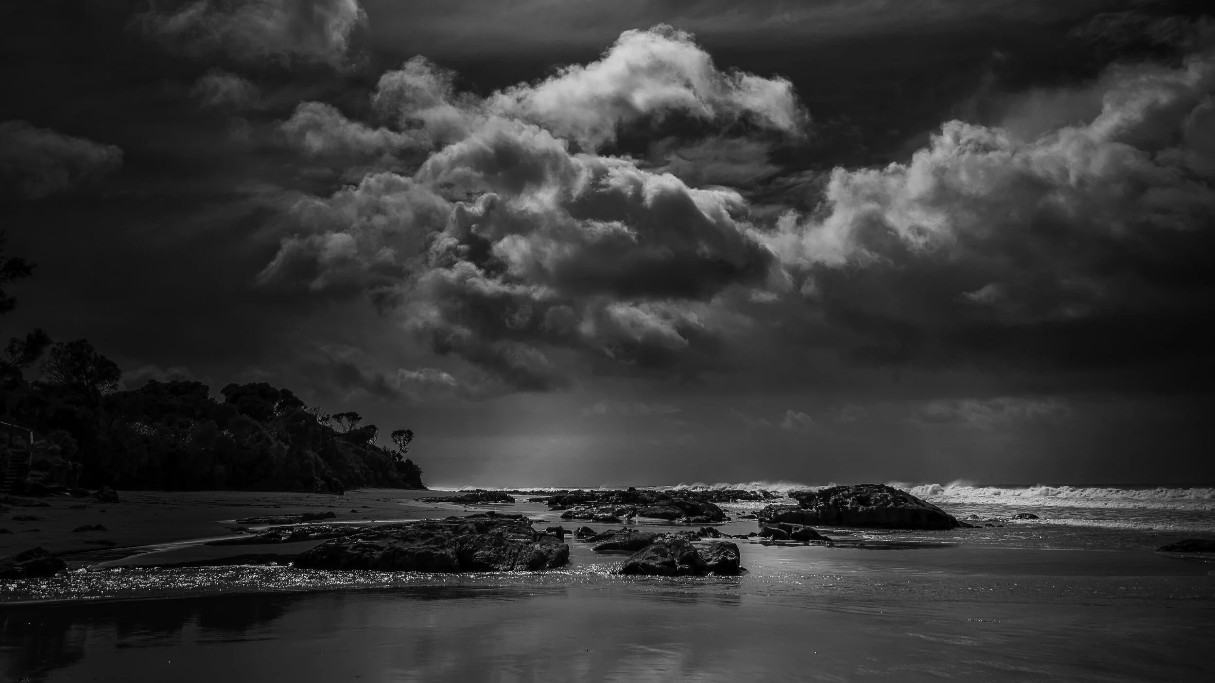 Booking — Earth Guardians