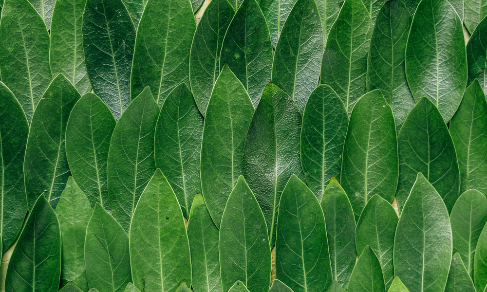 How to Choose Sustainable Materials for Your New Home Build — bliss ...