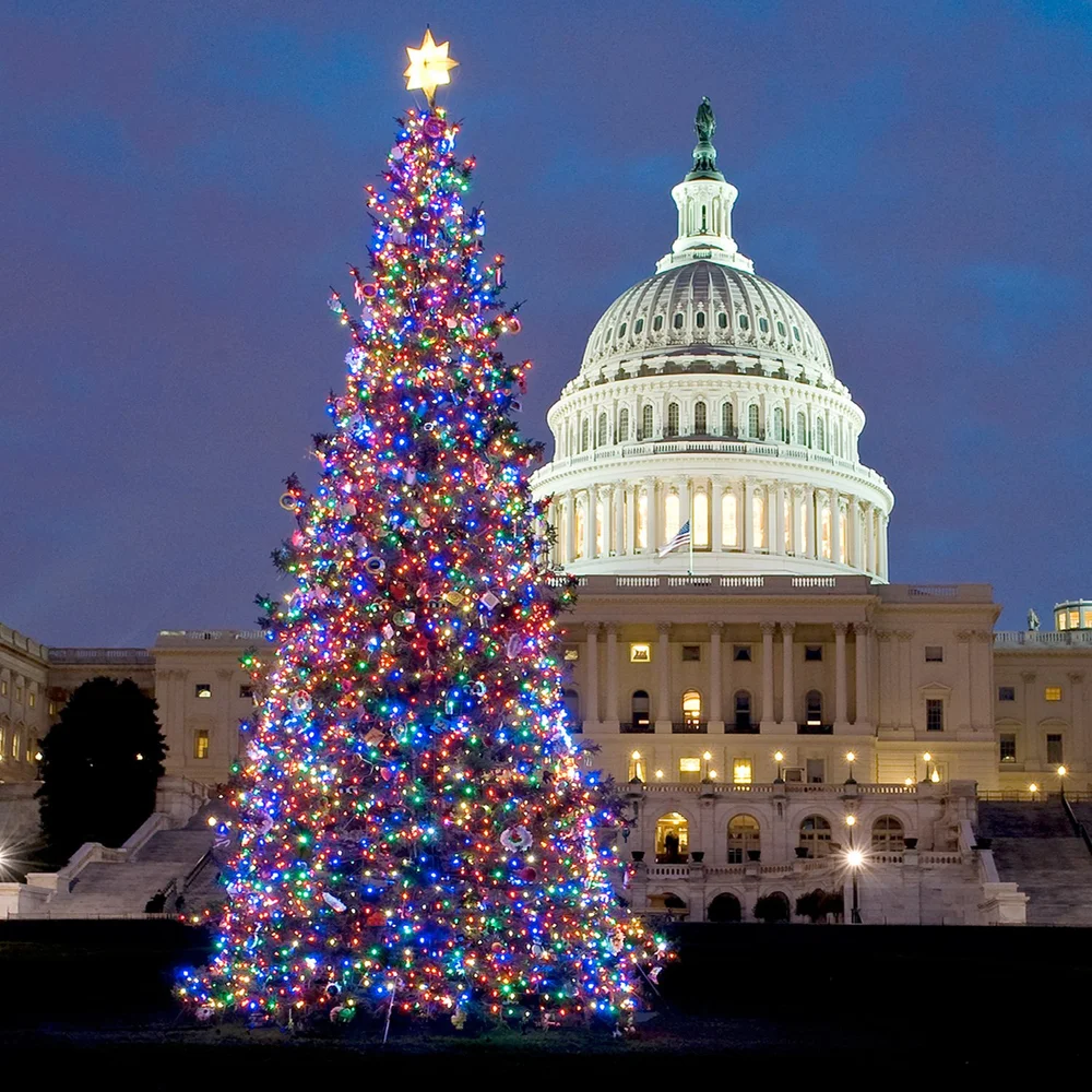 U.S. Capitol Christmas Tree — Draplin Design Co., North America