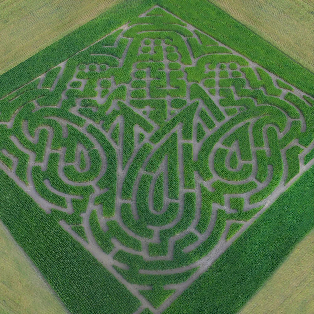 Topaz Farm — Draplin Design Co., North America