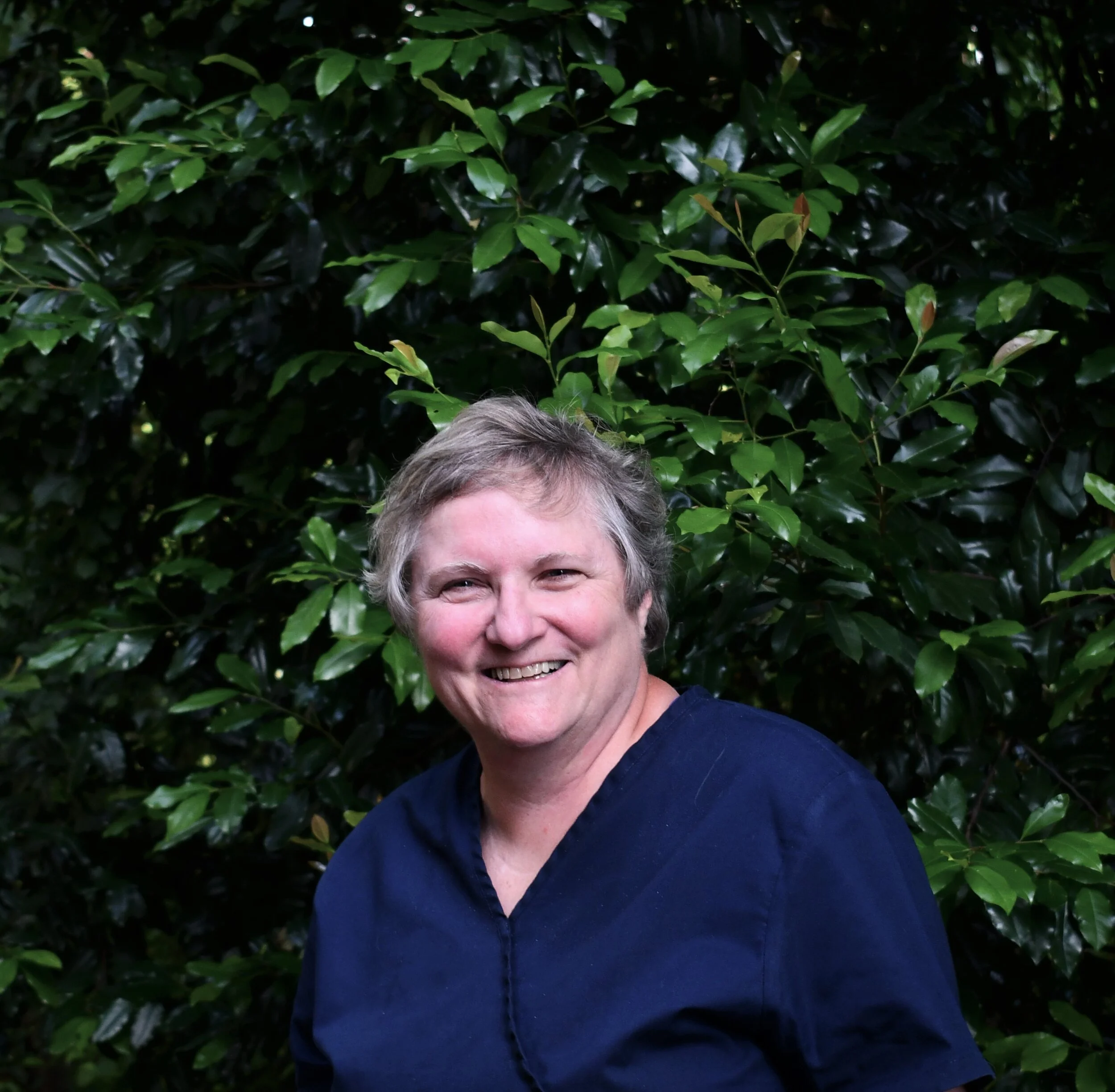 Cheryl Hall, PA-C, MHS, CHT — Haymount Institute
