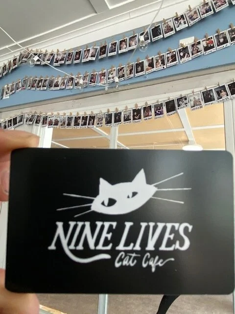Gift Card In store Purchases Only Nine Lives Cat Cafe gift-card-in-store-purchases-only-nine-lives-cat-cafe