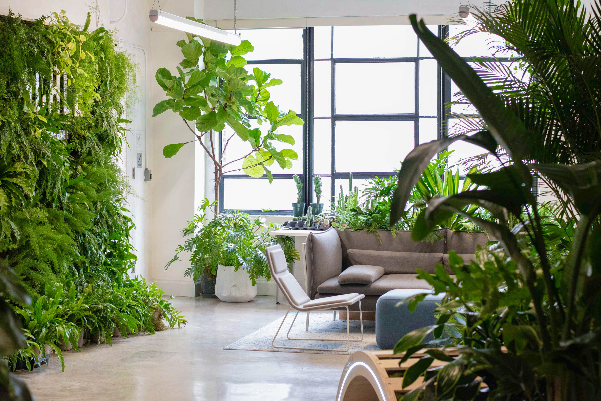 Luna Botanicals - Home