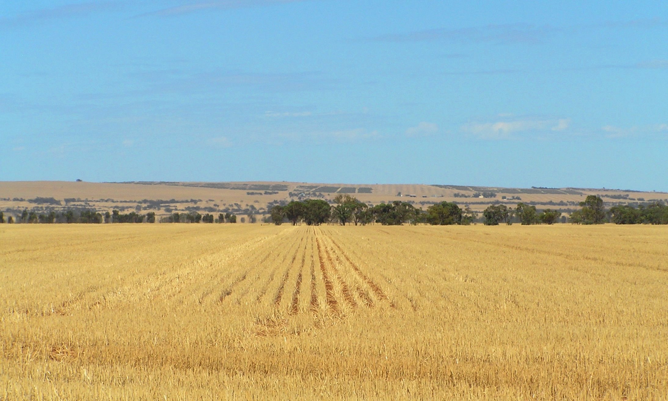 Publications — Centre for Environmental Economics and Policy