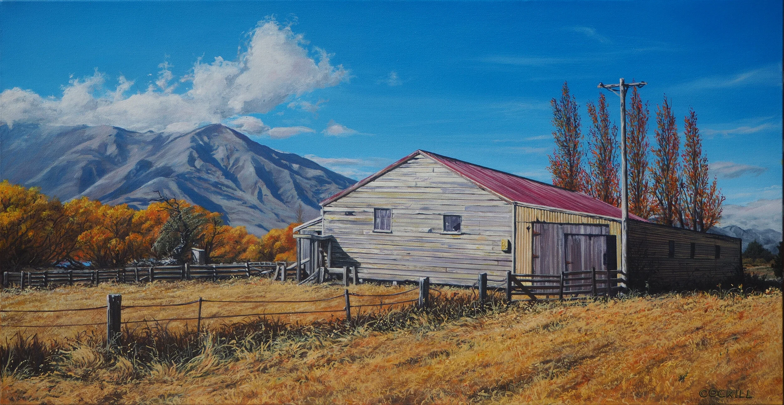 Carl Cockill ArtistCarl Cockill Artist