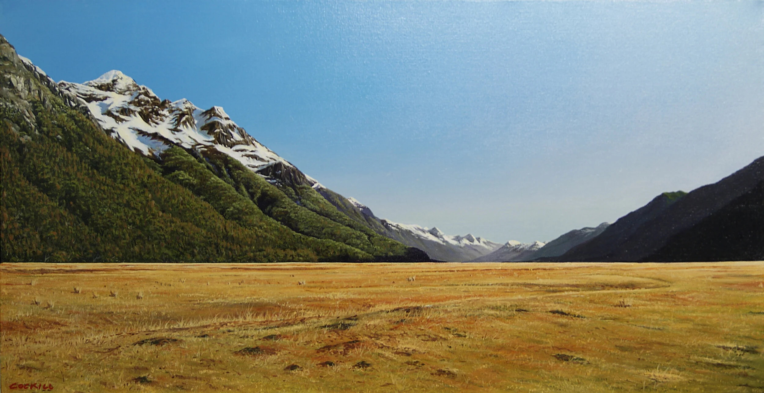 Carl Cockill ArtistCarl Cockill Artist