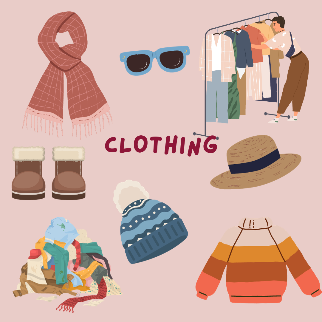 Exchange students — Novium