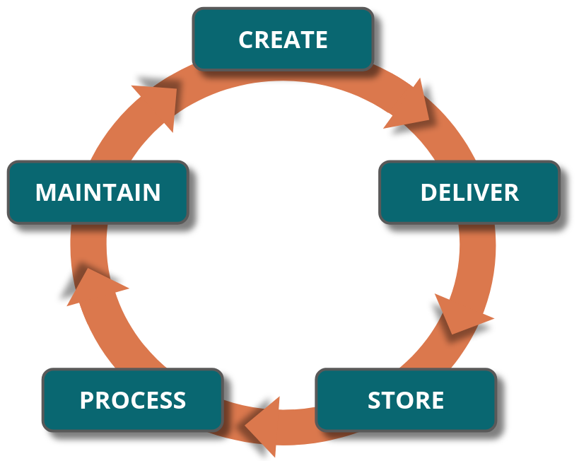 The Stages of Data Maturity: A Beginner’s Guide to Unlocking Your ...