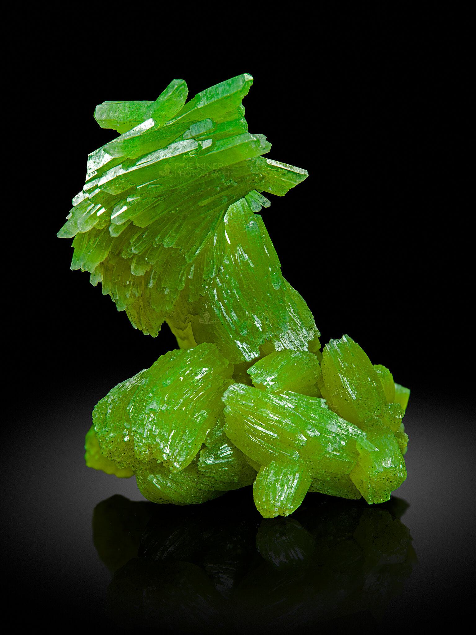 Minerals — finemineralphotography