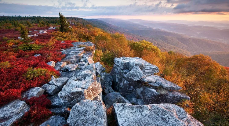 Explore Grant — Visit Grant County, West Virginia