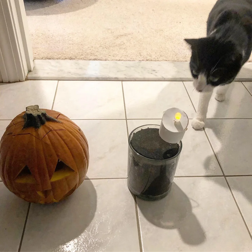 Microbe power project — The Microbe Institute