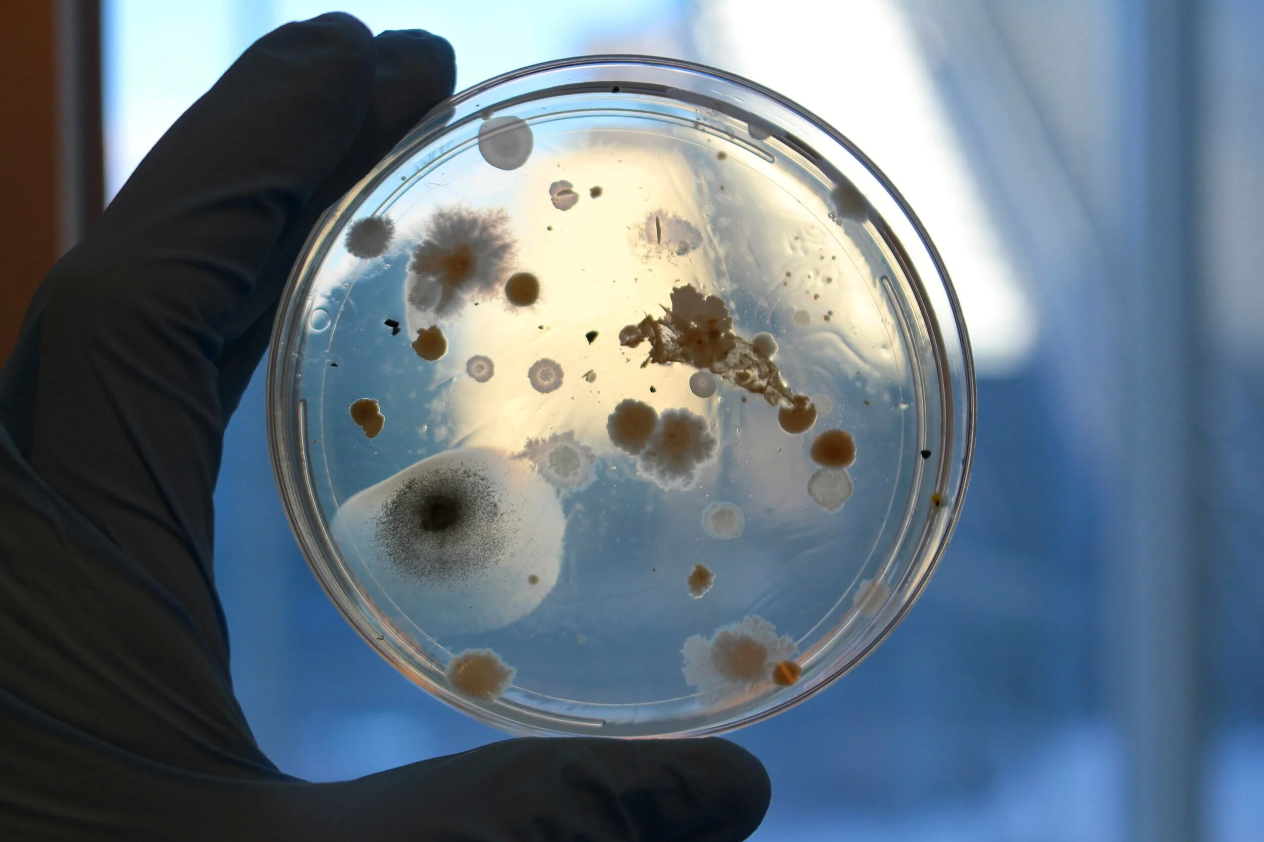 Initiatives — The Microbe Institute