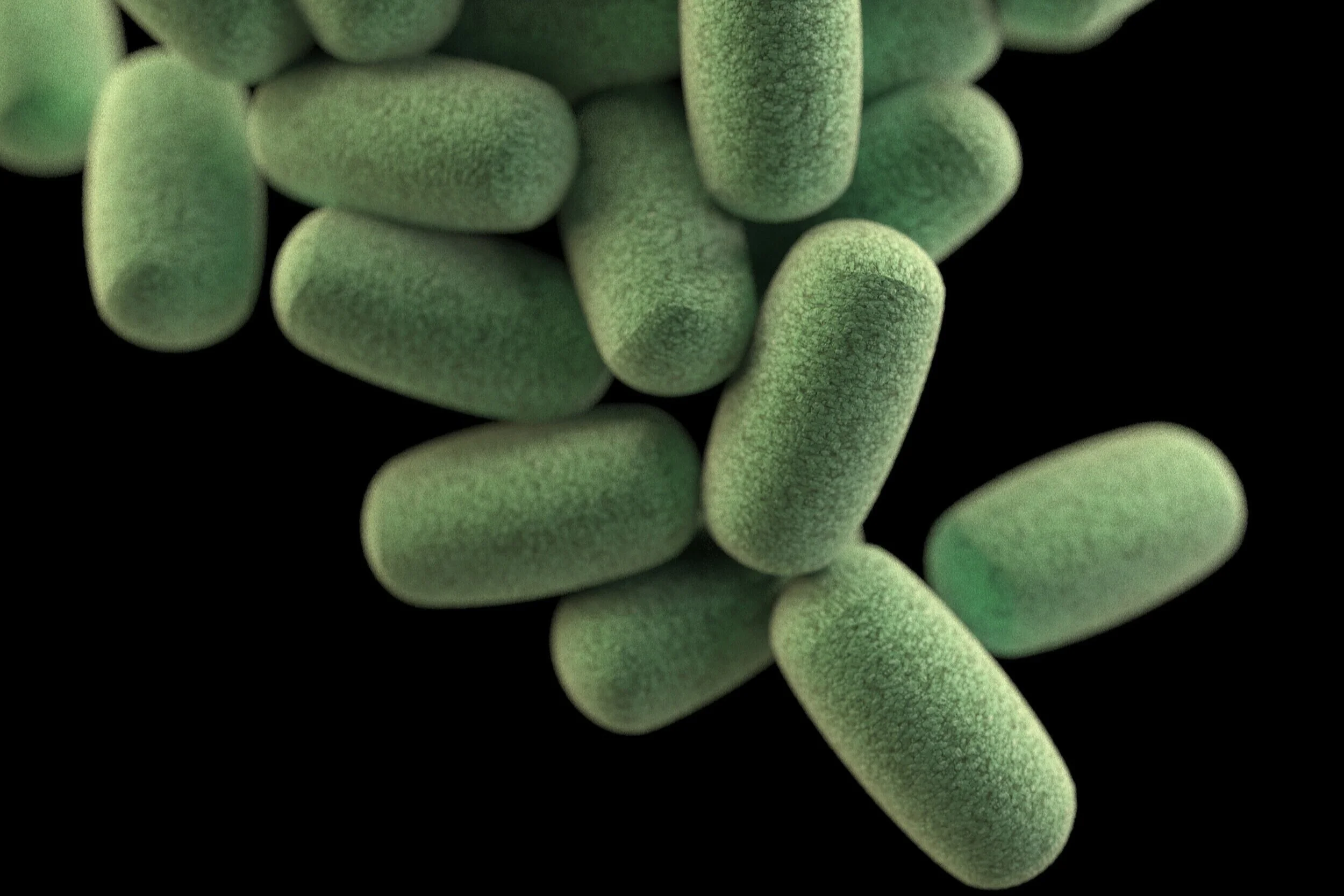 Resources — The Microbe Institute