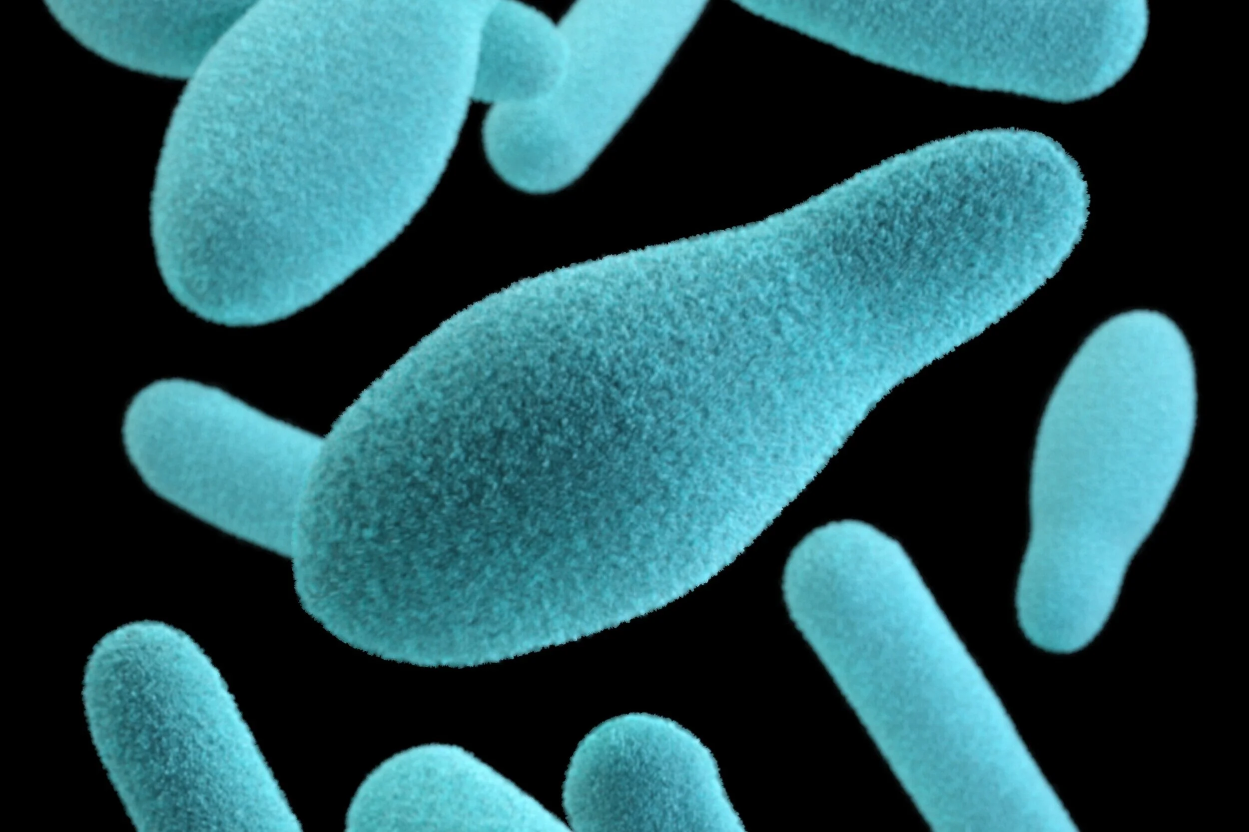 Resources — The Microbe Institute