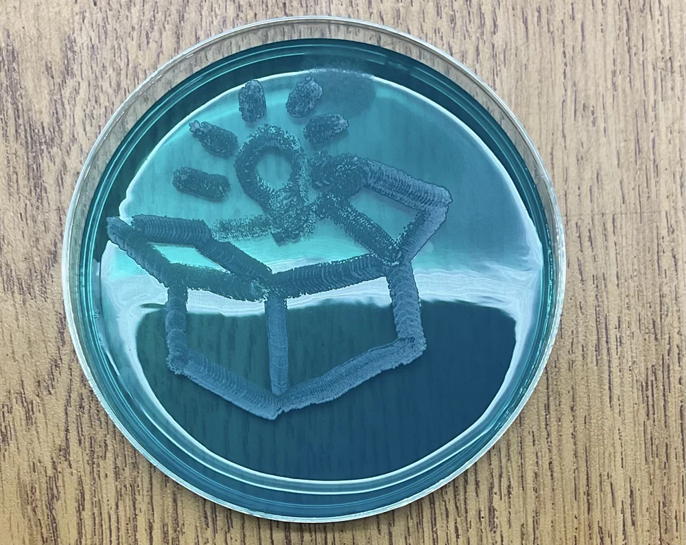 Microbial Art — The Microbe Institute