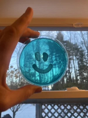 Microbial Art — The Microbe Institute