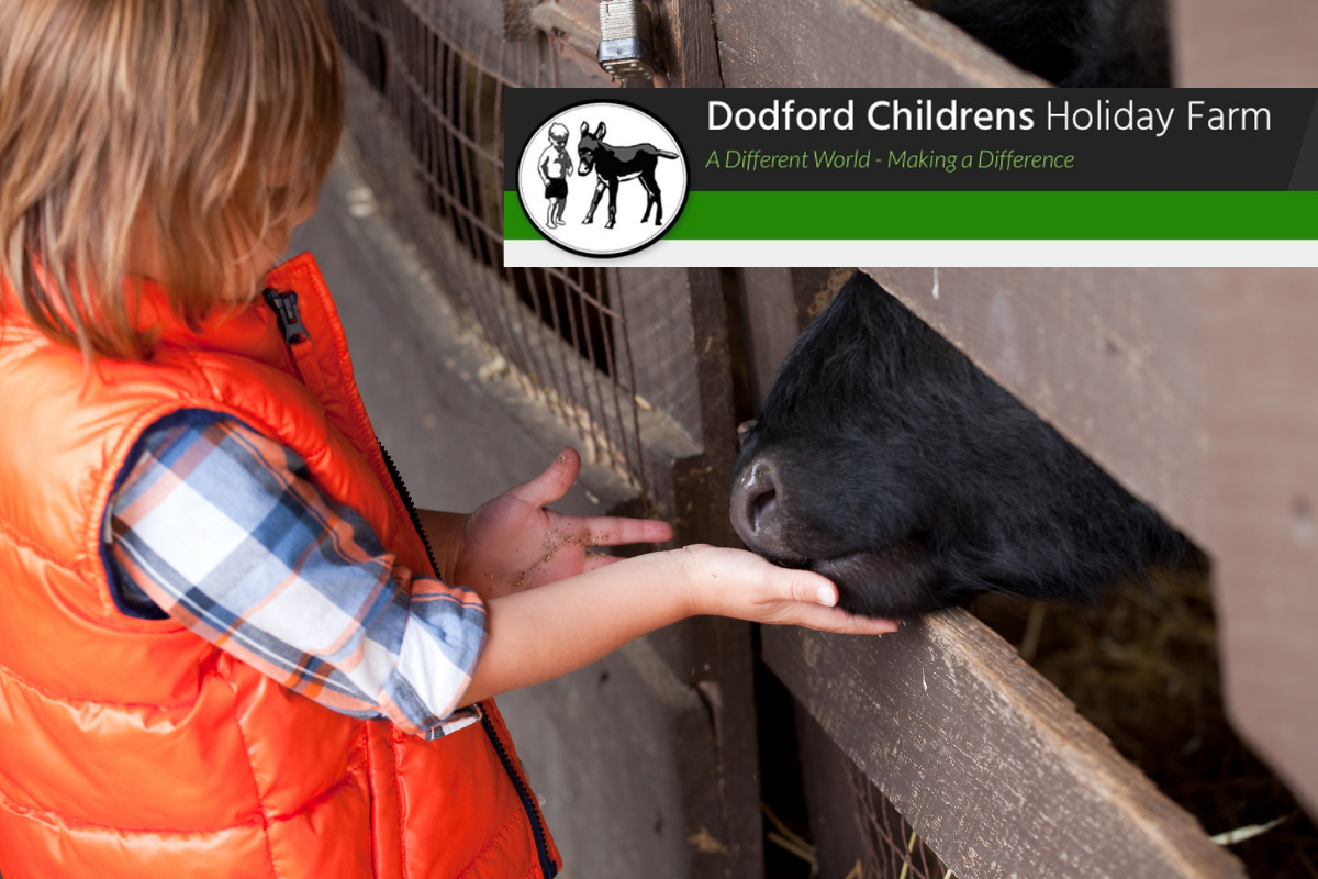 Guest Post: Dodford Children’s Farm - Way More Than Just a School Trip ...